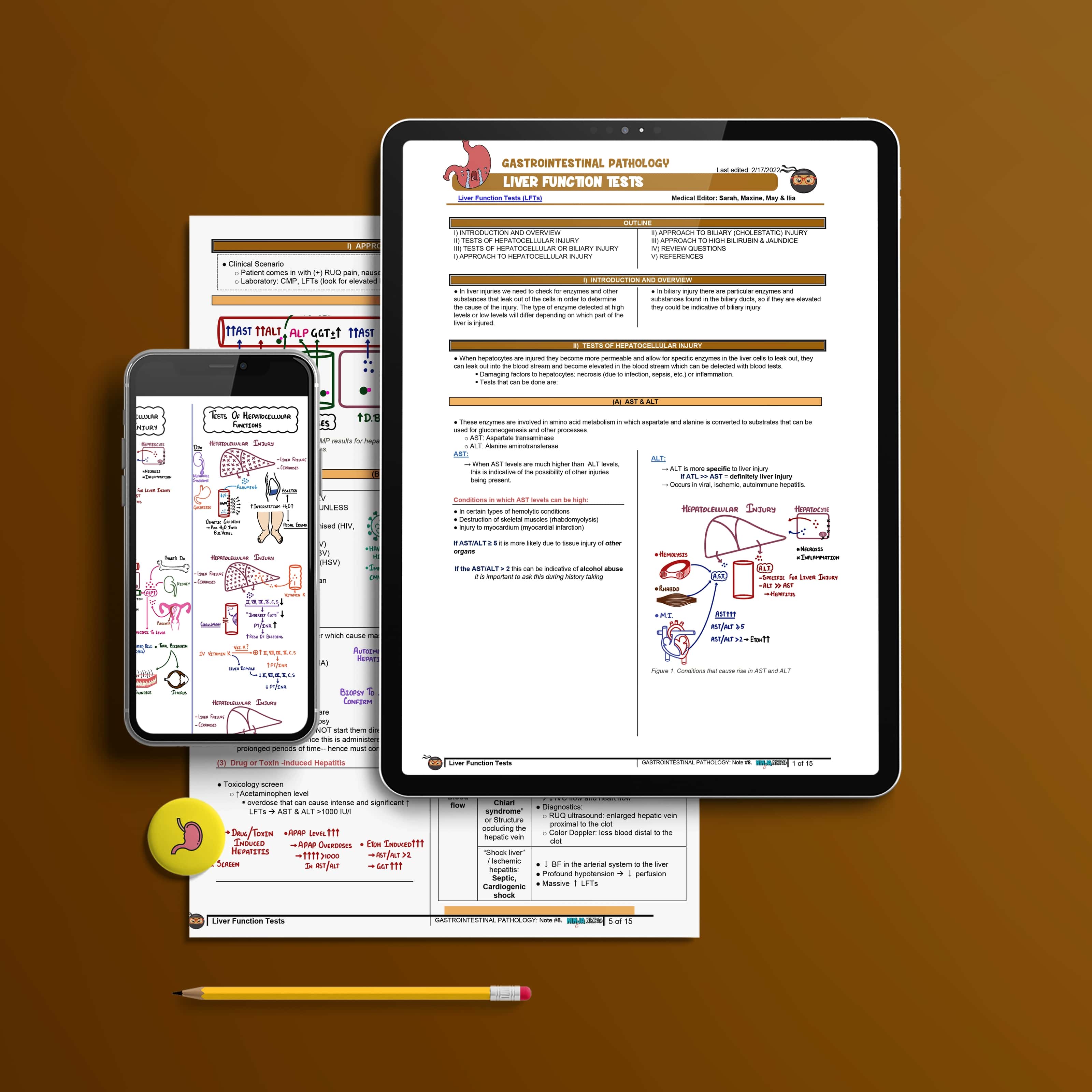 Liver Function Tests (LFTs) - Notes - NinjaNerd Medicine